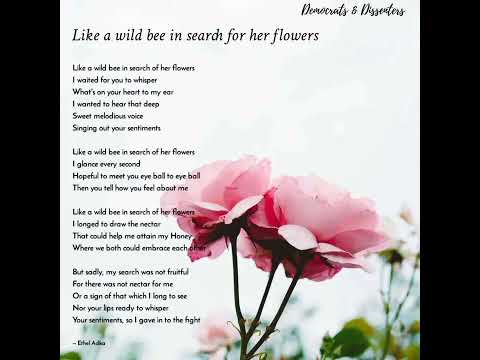 LIKE A WILD BEE IN SEARCH OF HER FLOWERS. LOVE!! SEE HOW PEOPLE DIE WHEN IN LOVE 🥺