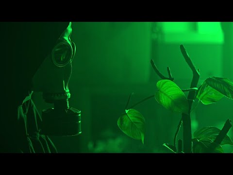 SOLENOIDE - Dance Yourself To Death