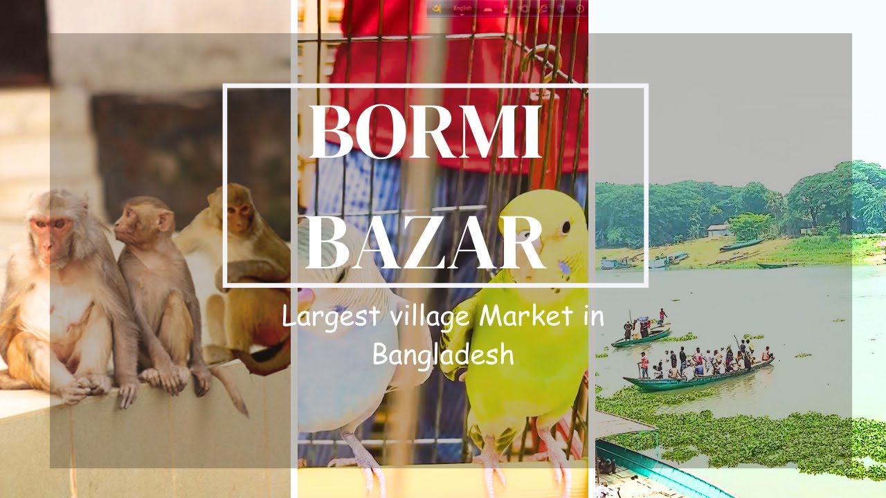 Bangladeshi Weekly Village Market|| Barmi Bazar||বাংলাদেশের বৃহত্তম ...