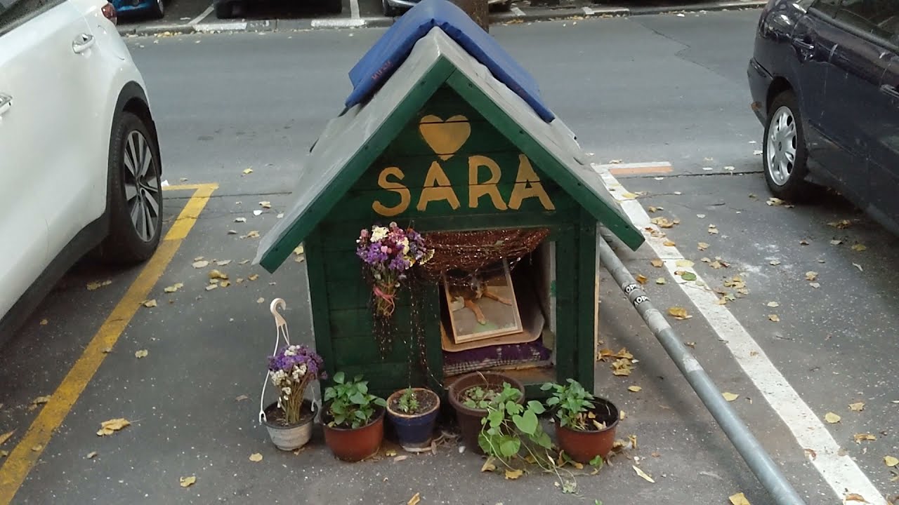 Strolling Down Strahinjica Bana Street in Belgrade, Serbia - YouTube