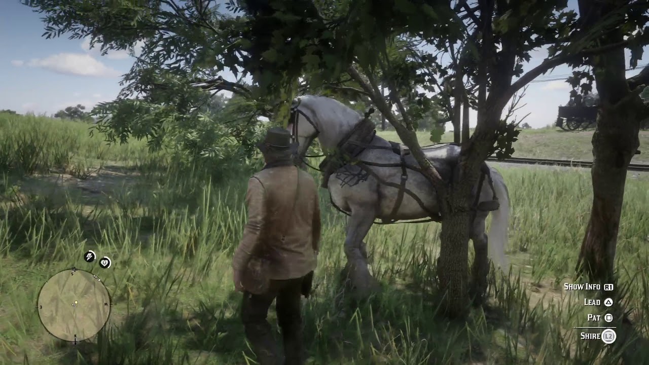 Red Dead Redemption 2 - Retarded Horse - YouTube