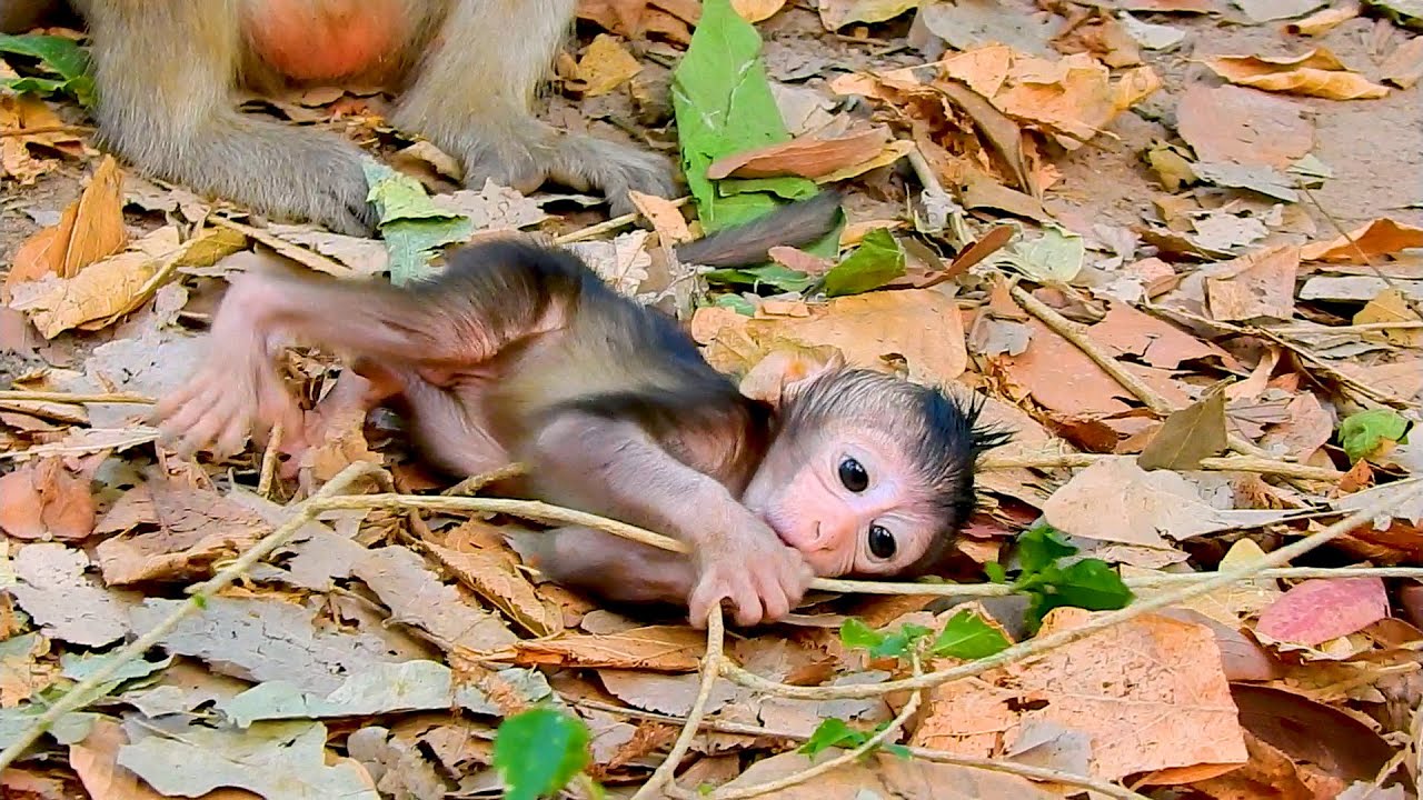 Baby Eden Very Happily Of Freedom and Freestyle Looks Absolutely ...