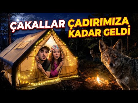 ÇAKALLAR ÇADIRIMIZA KADAR GELDİ, EŞİM KAMPI TERK ETTİ!