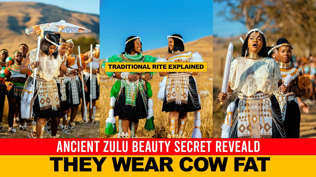 Why Zulu Maidens Wear Cow Fat During Umemulo: A Sacred Rite Explained ...