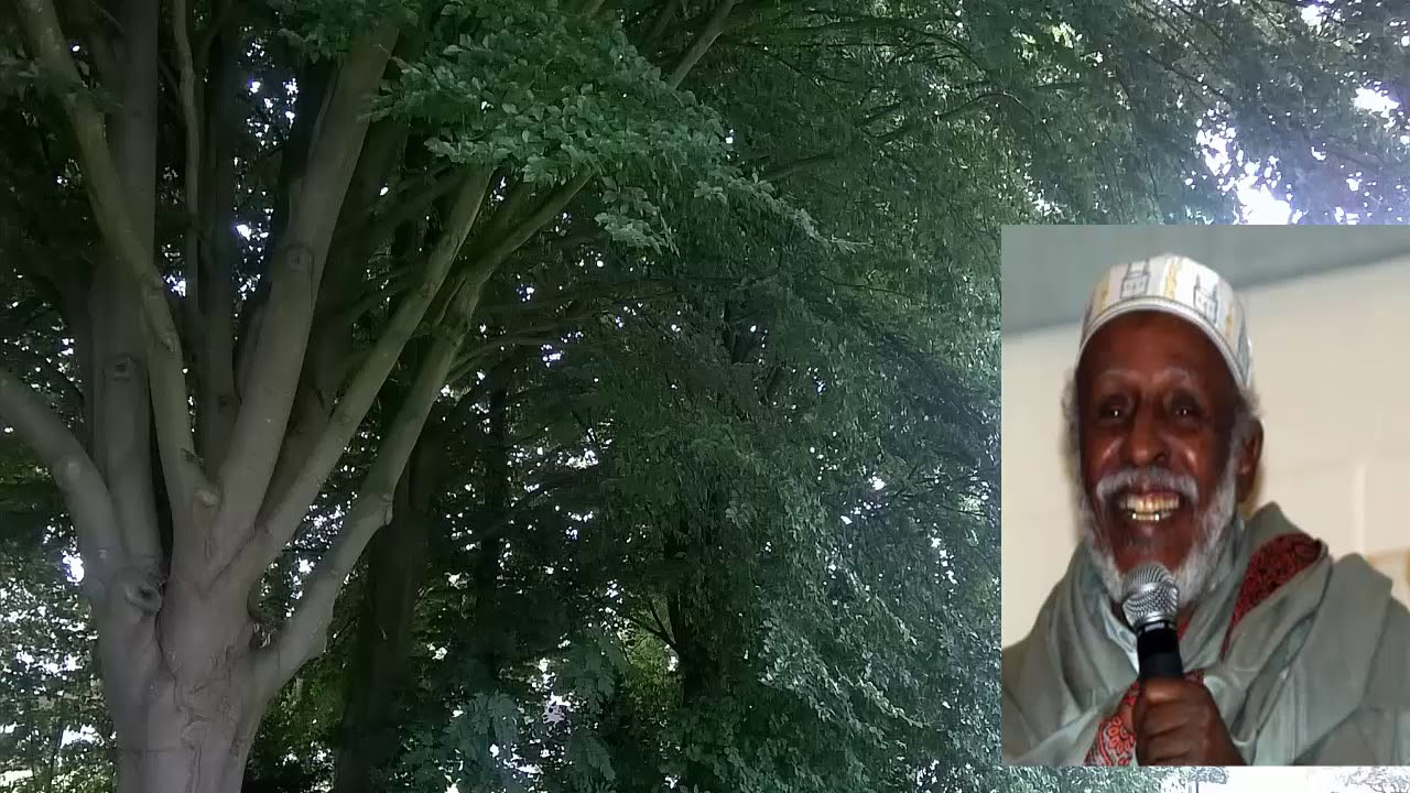 Hadraawi Maansaddii HAMBAABIR iyo Heeliyo ee habaar biiray dhaqankii ...