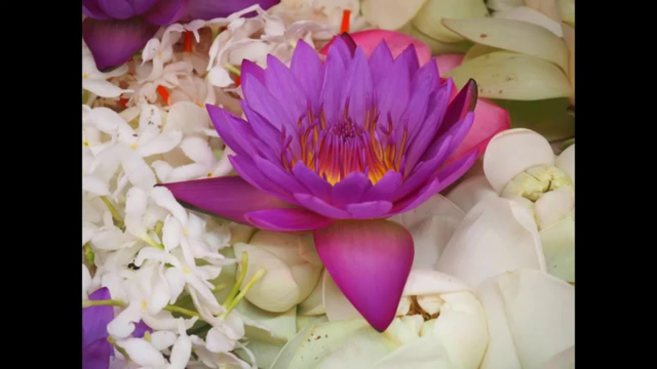 Atamasthana - The Eight Sacred Places in Anuradhapura, Sri Lanka - YouTube