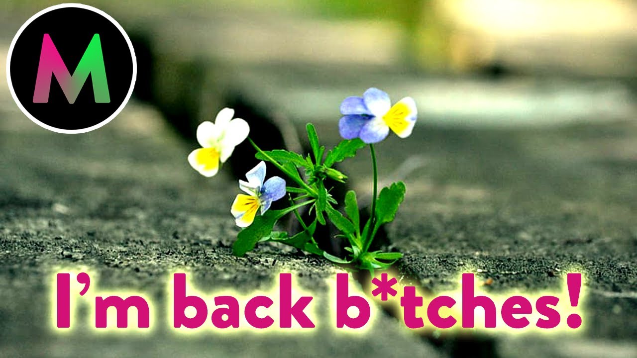 I'm back b*tches! - YouTube