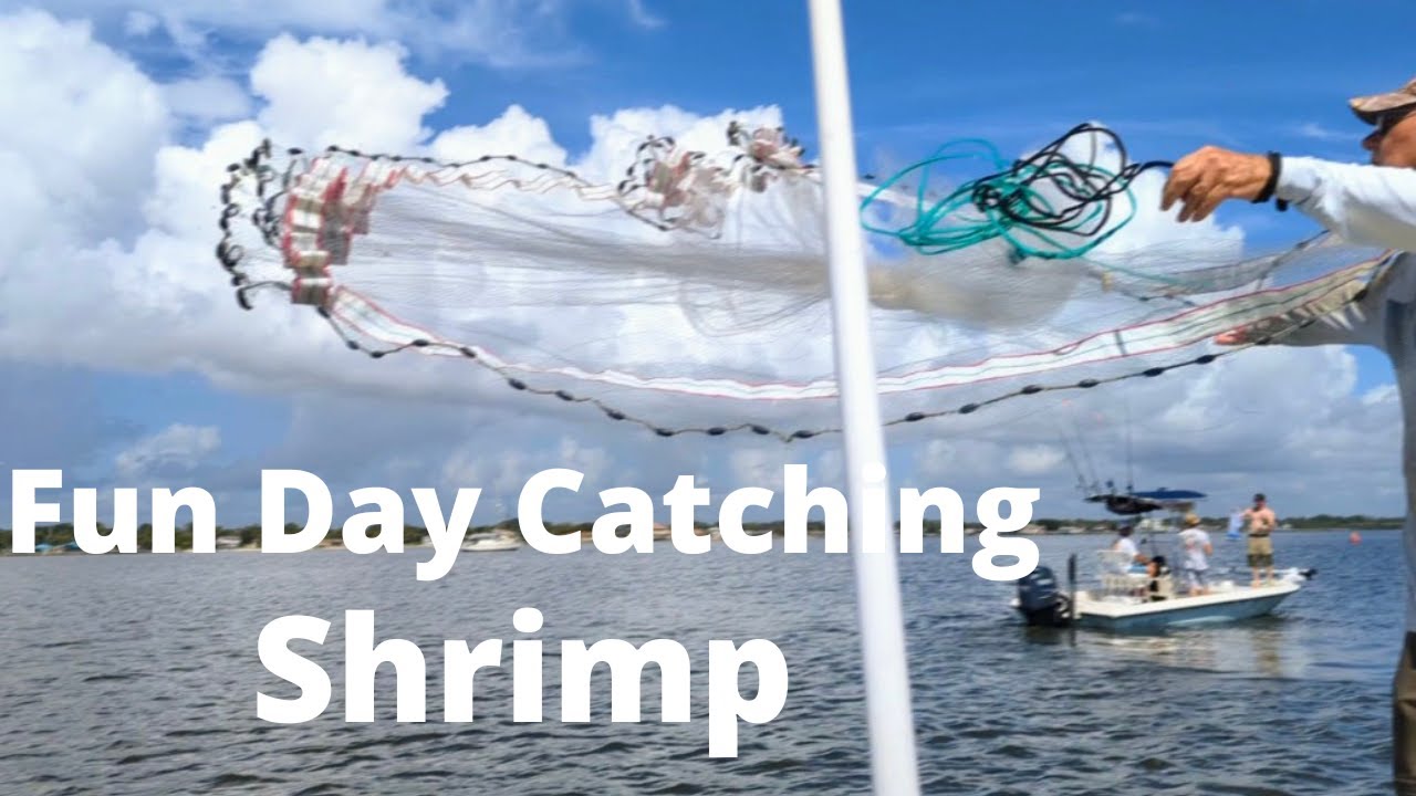 Cast Netting Shrimp - YouTube