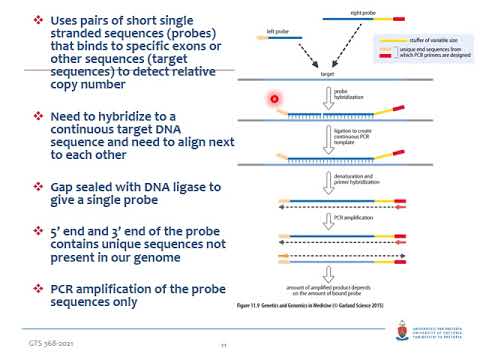 GTS 368 Testing for Large scale DNA changes 2021 - YouTube