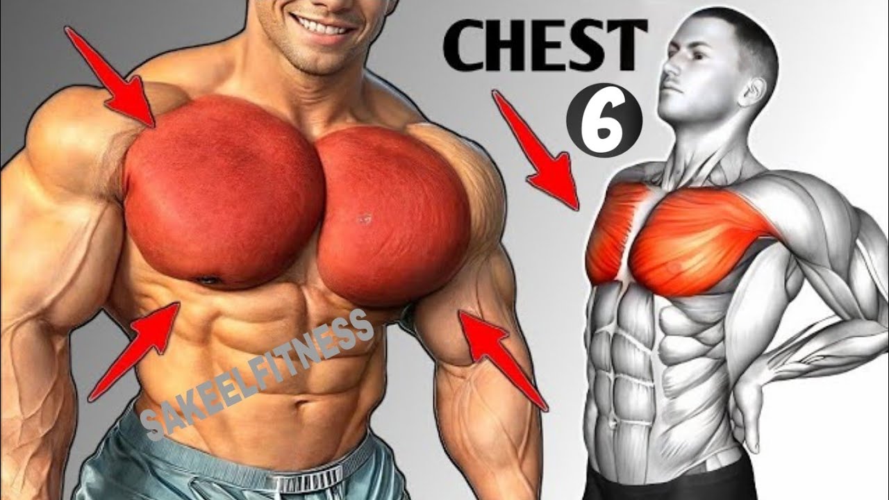 bigger chest workout at gym | best exercise for chest | CHEST WORKOUT ...