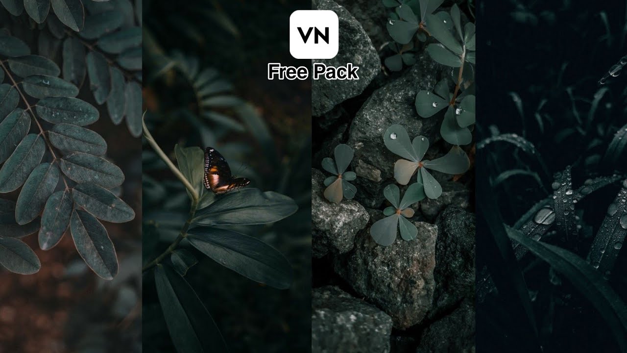 Free Vn Luts Pack | Vn Cinematic Luts | Vn Lut Filter Cinematic - YouTube