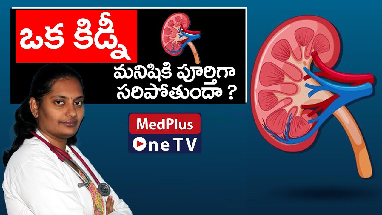 Can We Live with One Kidney? | Living with One Kidney | Dr.Anusha ...