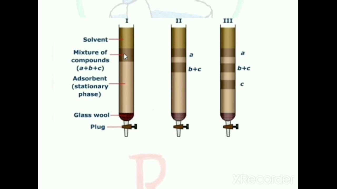 Column Chromatography Pharmacognosy Online Lecture In Urdu Hindi column-chromatography-pharmacognosy-online-lecture-in-urdu-hindi
