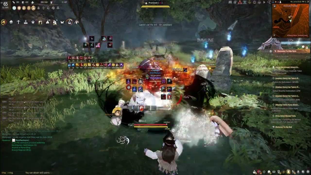Black desert online ninja succession dokkebi rotation - YouTube