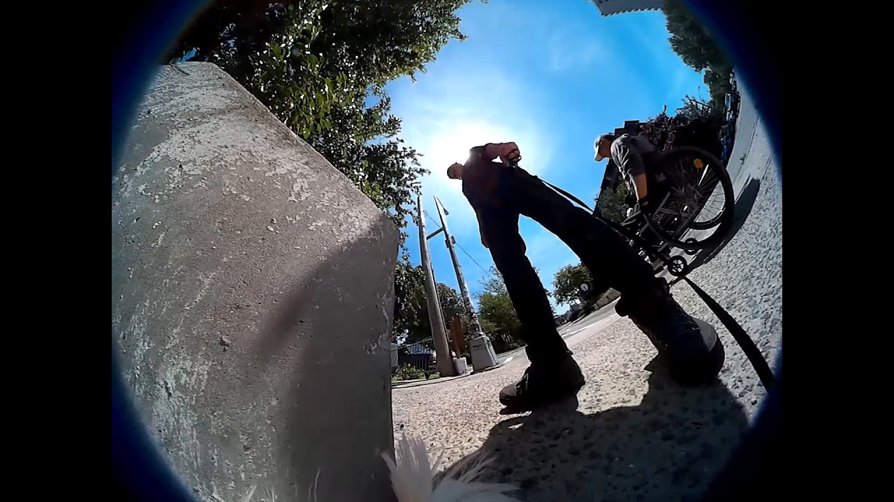 360° dog POV - YouTube