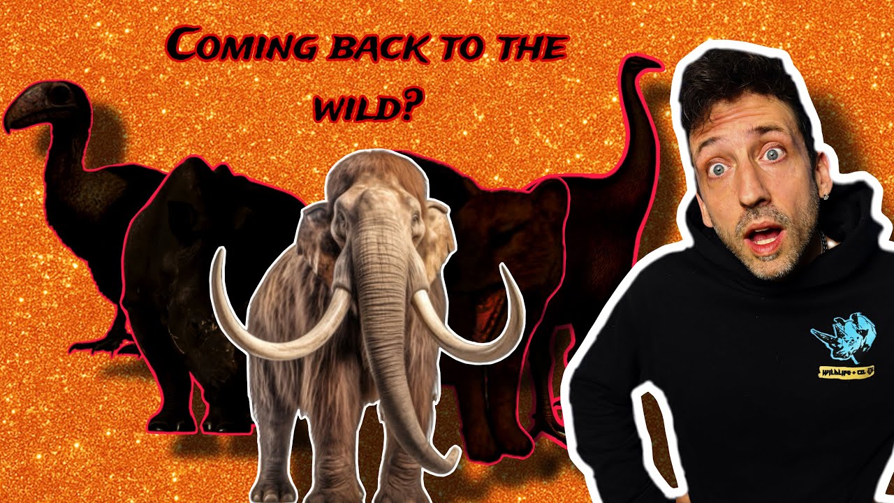 5 Animals Coming Back From Extinction! - YouTube