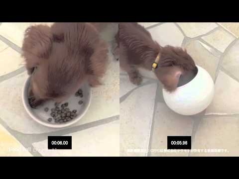 OPPO_FoodBall_movR2 - YouTube
