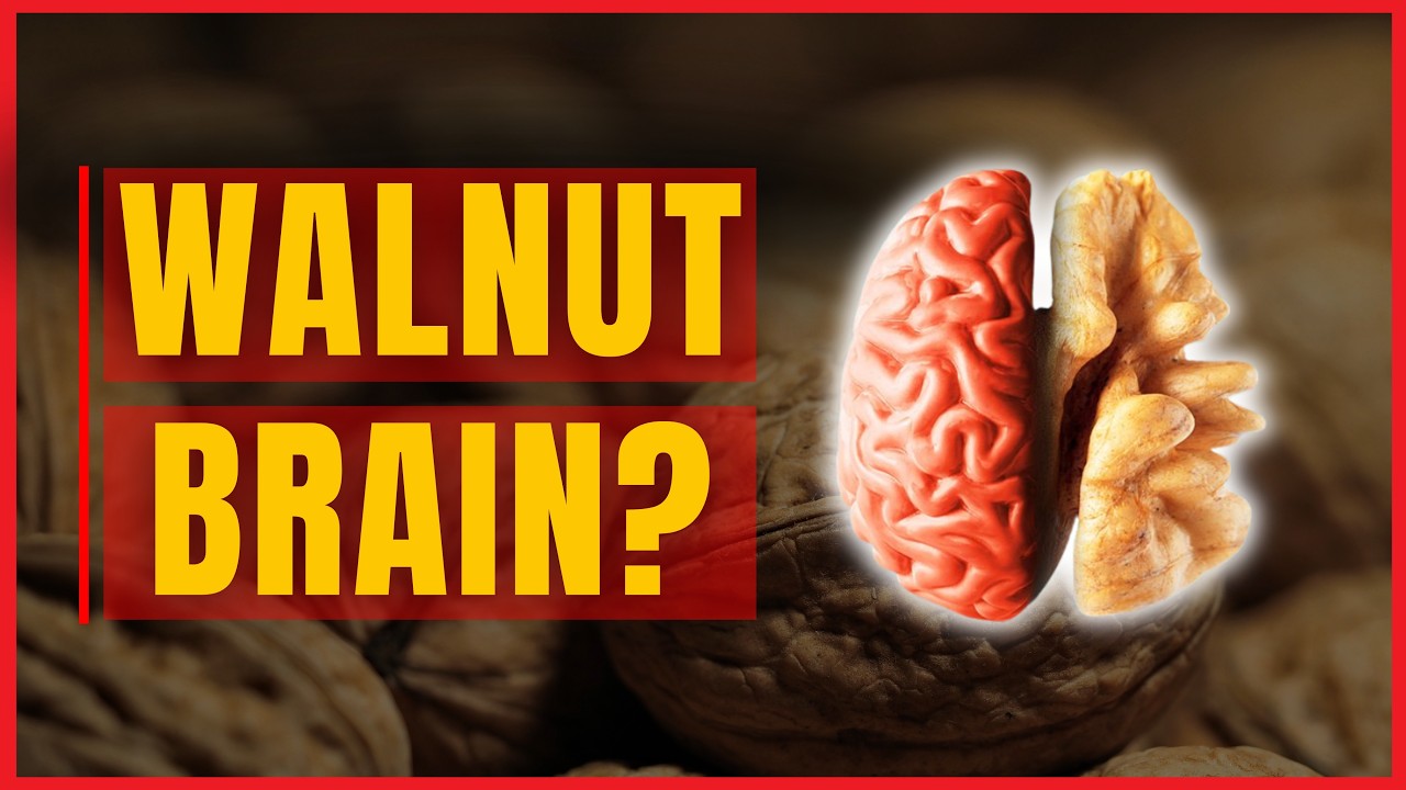 Why the Walnut Looks Like a Brain - 7 Health Benefits - YouTube