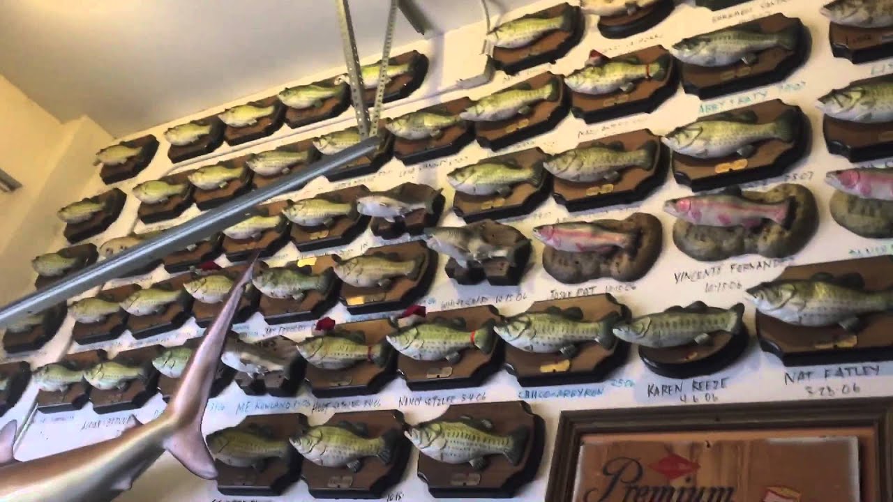 Flying Fish - Billy Bass Adoption Center - YouTube