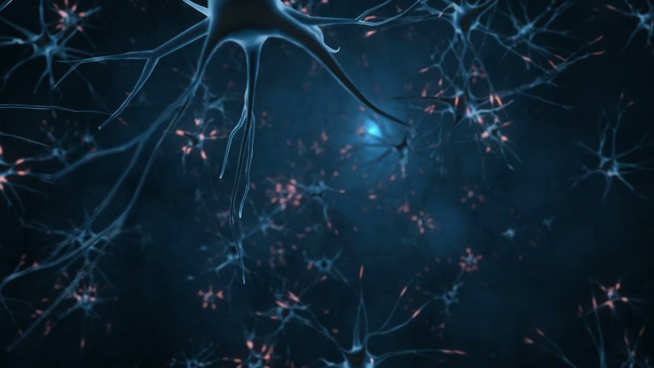 Neurons 4K - YouTube