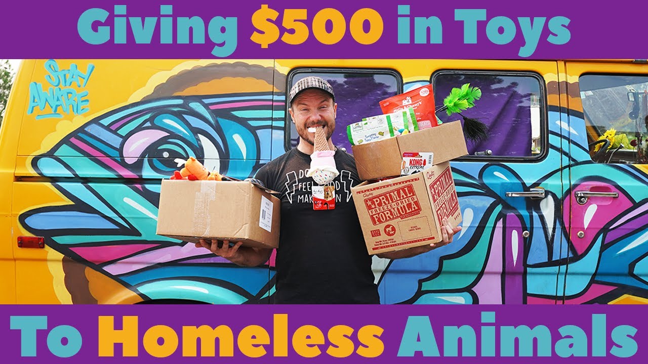 Giving $500 in Toys to Homeless Animals - YouTube