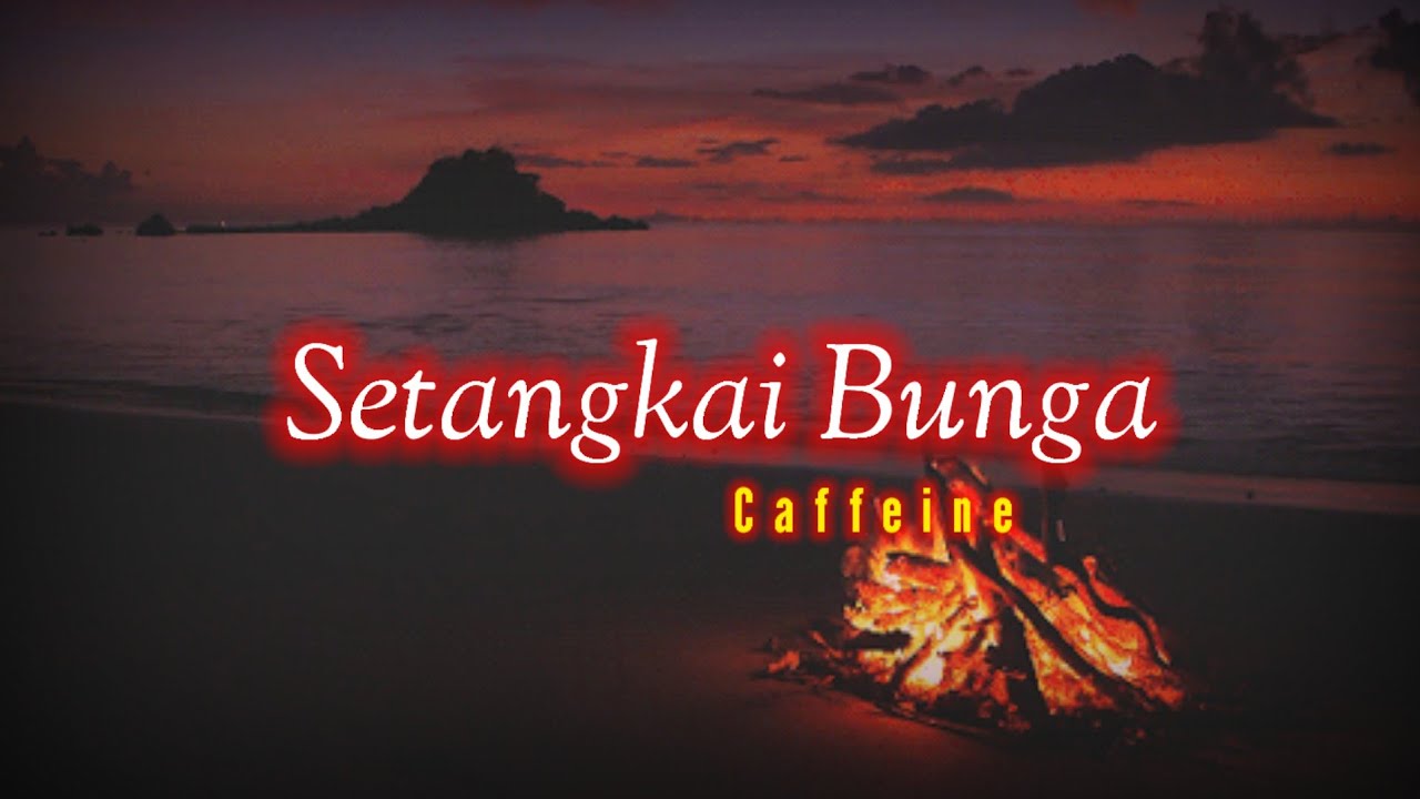 Setangkai Bunga - Caffeine (lirik) - YouTube