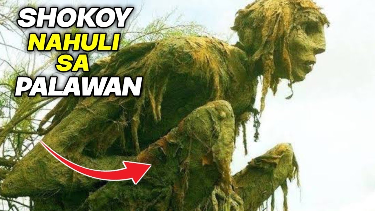 TOTOONG SHOKOY NAHULI SA PALAWAN with ACTUAL VIDEO FOOTAGE - YouTube