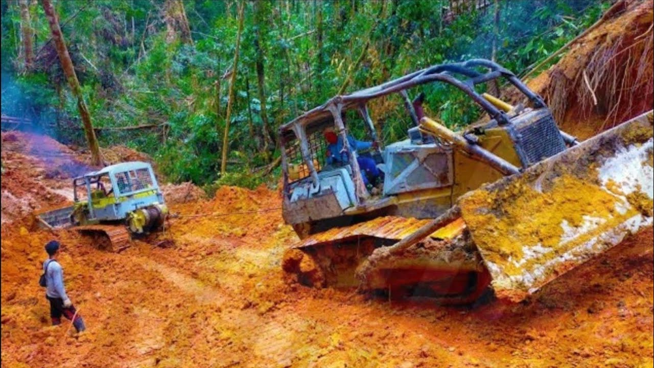 Merambah Hutan Menggunakan Alat Berat Bulldozer Logging Tahap Awal ...