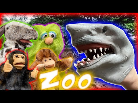 SHARK PUPPET GOES TO THE ZOO!!!!!