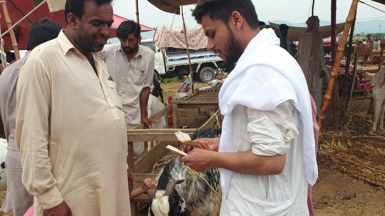 Bakra khreeedari | Bakra Done ho gia | Eid Mubarik | @dqconsultant ...