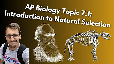 Unit 7: Natural Selection - AP Biology - YouTube