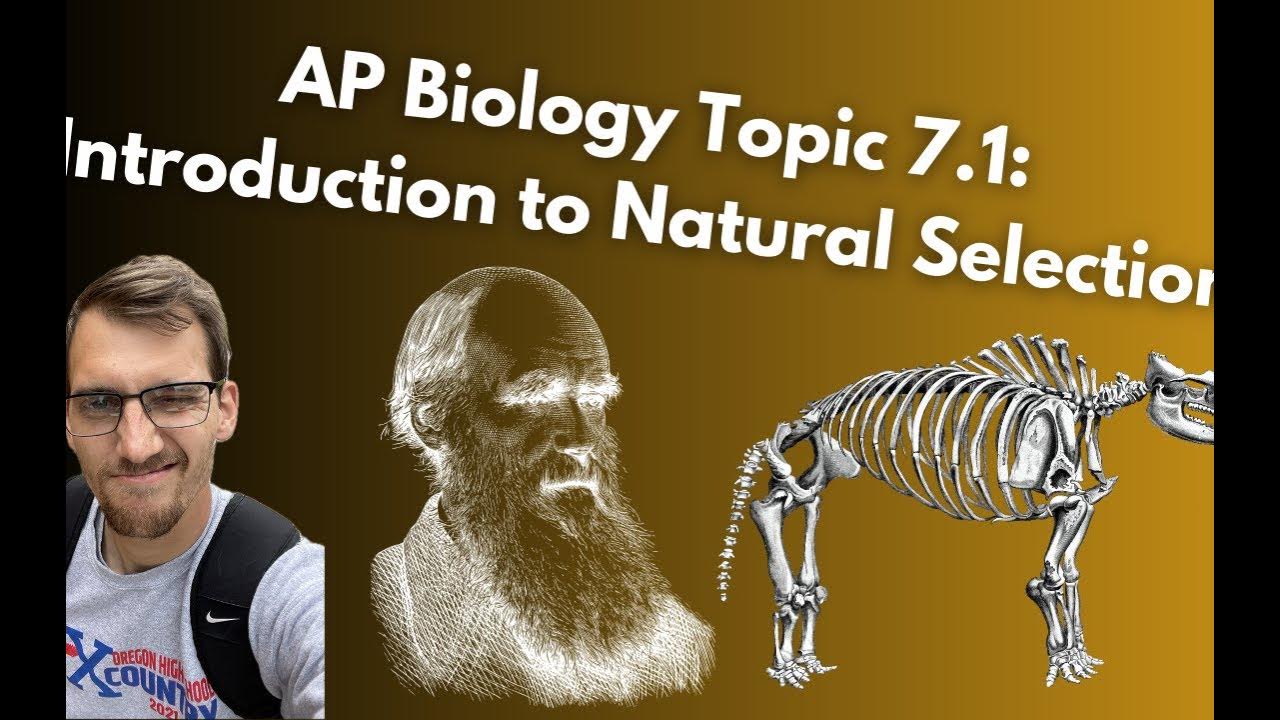 7.1 Introduction to Natural Selection - AP Biology - YouTube