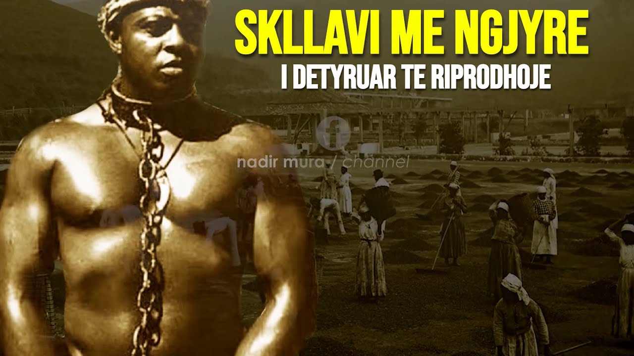 SKLLAVI ME NGJYRE I DETYRUAR TE RIPRODHONTE 🌎😯 - YouTube