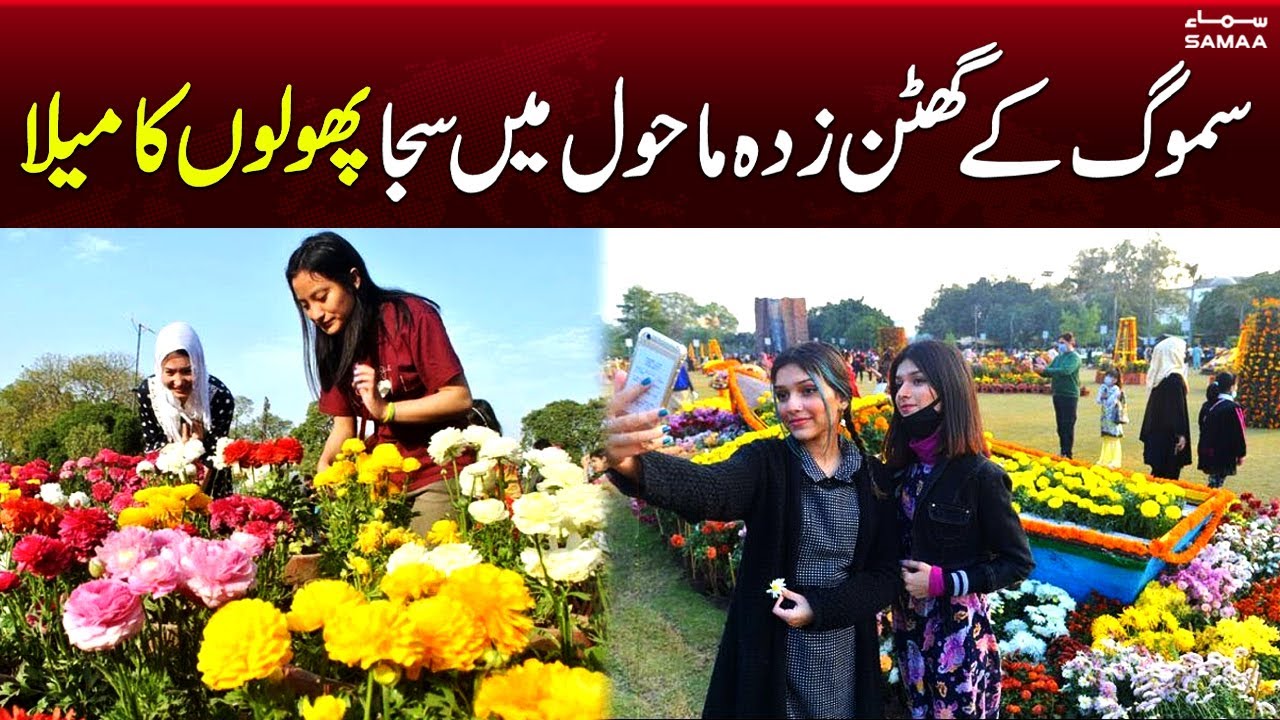 Gul-e-Daudi Exhibition started at Jilani Park | SAMAA TV - YouTube