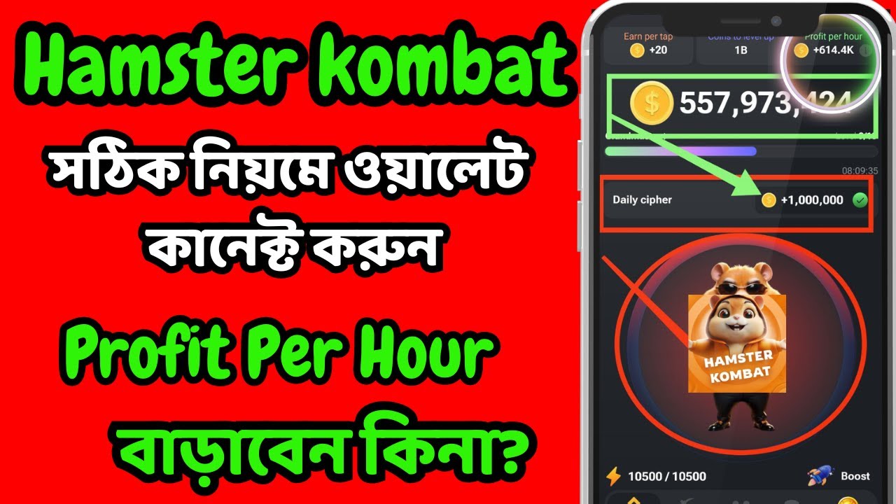 Hamster Kombat Wallet Connect। Focus Hamster Profit per Hour । Hamster ...