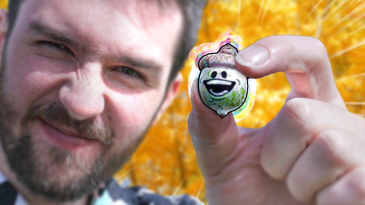 🌲Animating The Way Nature Intended - YouTube