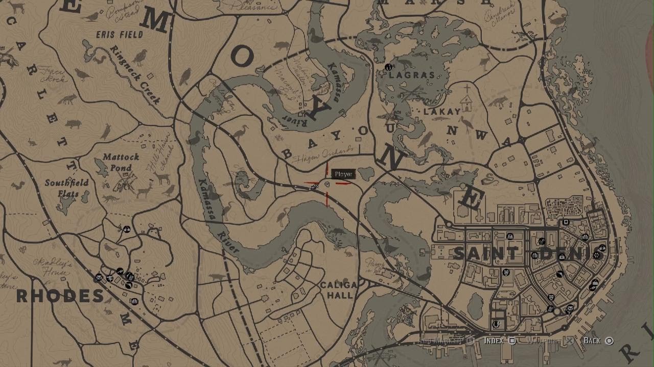 Red Dead Redemption 2 American Black Bear Location - YouTube