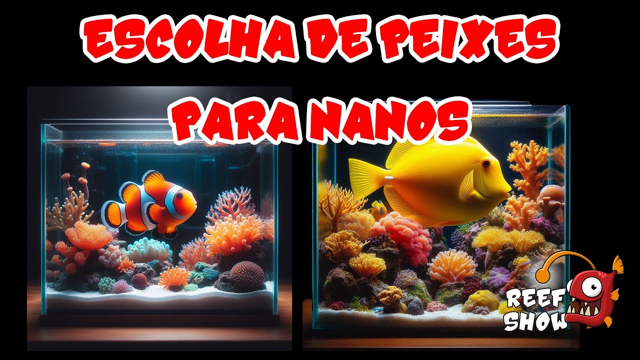 TEM AQUÁRIO PEQUENO? Saiba quais PEIXES ESCOLHER! - YouTube