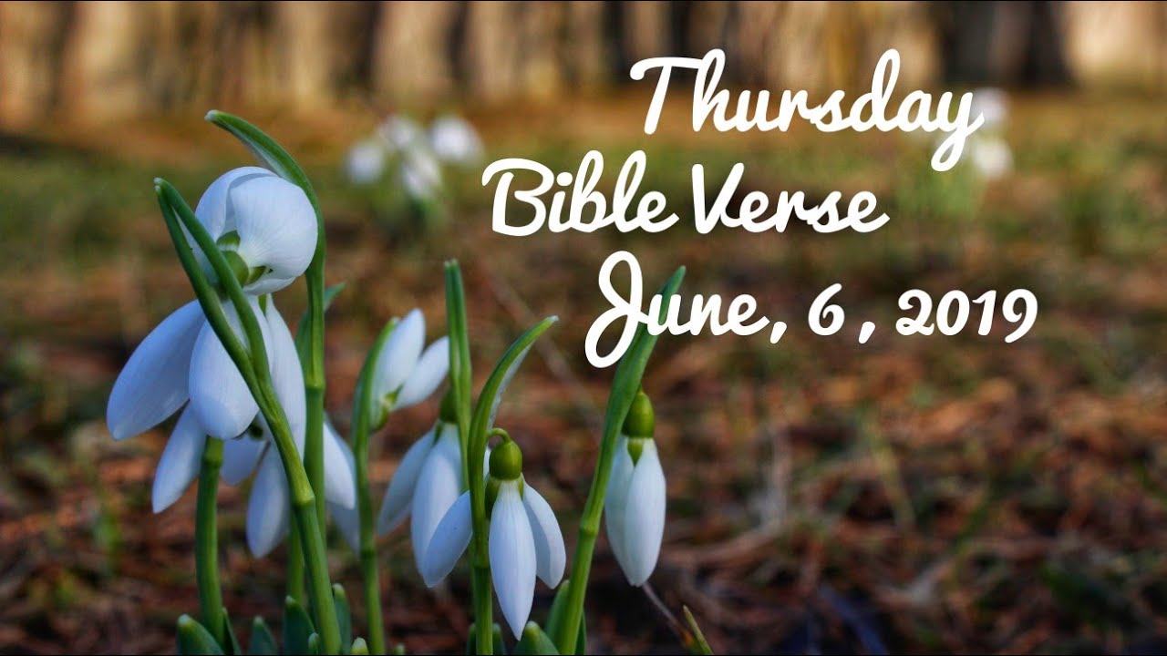 Bible Verse for today / June, 6, 2019 / with Prayer Habit - YouTube