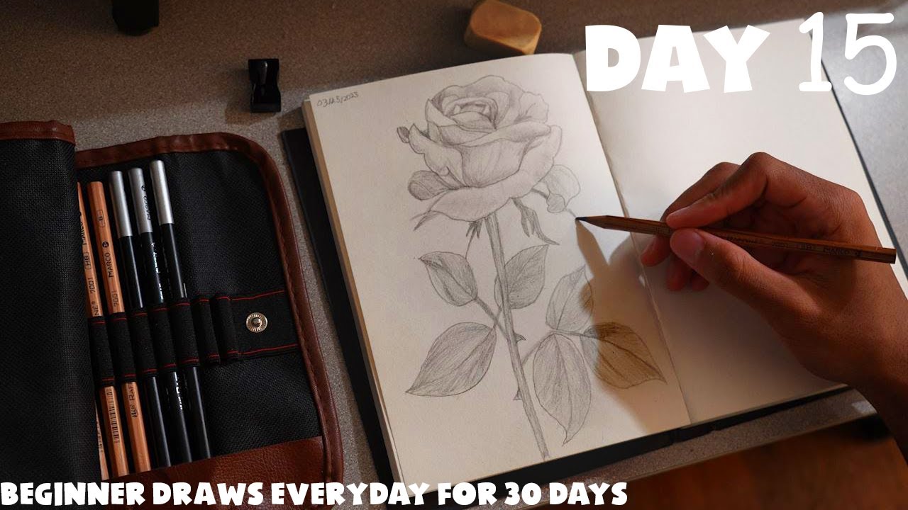 BEGINNER DRAWS EVERYDAY FOR 30 DAYS | DAY 15 - YouTube