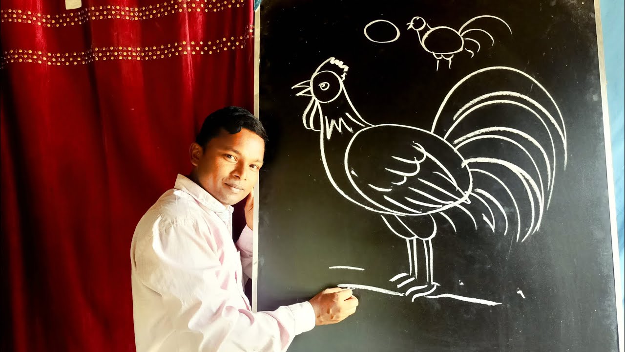 How to draw Cock step by step / Cock drawing for beginners - YouTube