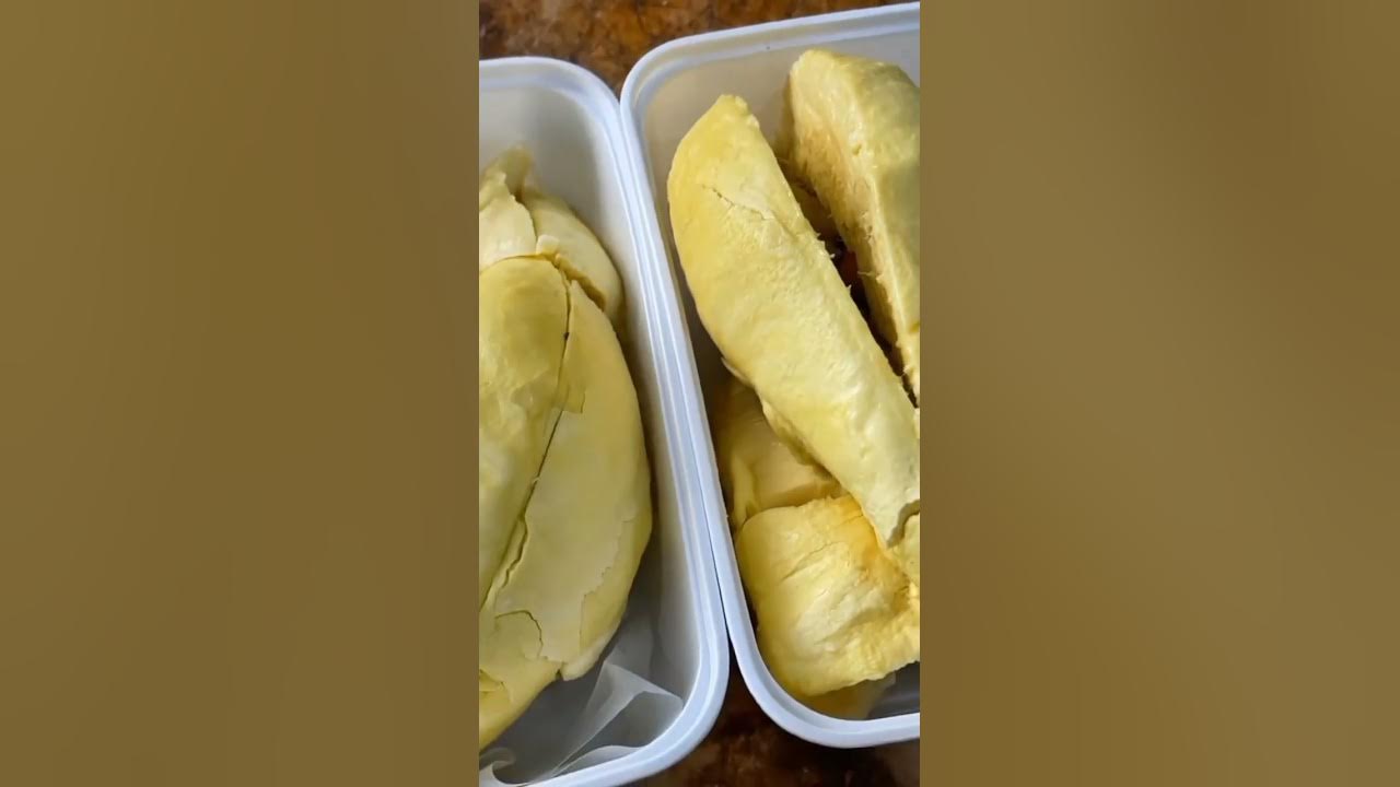 REVIEW DURIAN MONTONG SUPER MANIS - YouTube