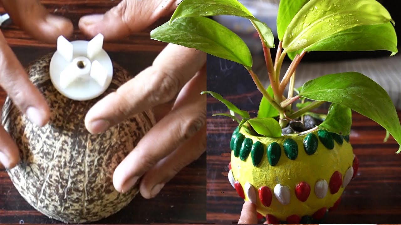 DIY Coconut home décor idea || Home décor idea from pista shells || A 4 ...