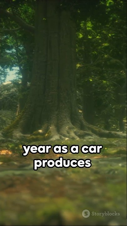 Tree-mendous Facts #nature #earth #trees #facts #science - YouTube