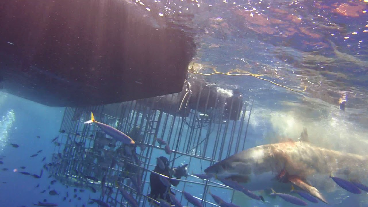 Mac bloody crash - YouTube