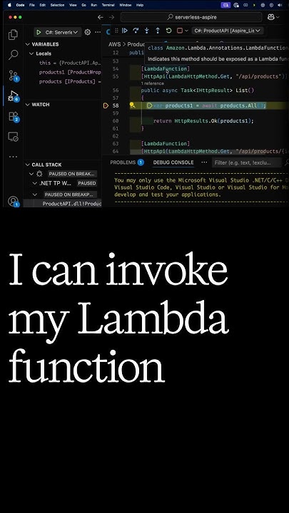 The Lambda test tool for debugging .NET Lambda Functions locally - YouTube