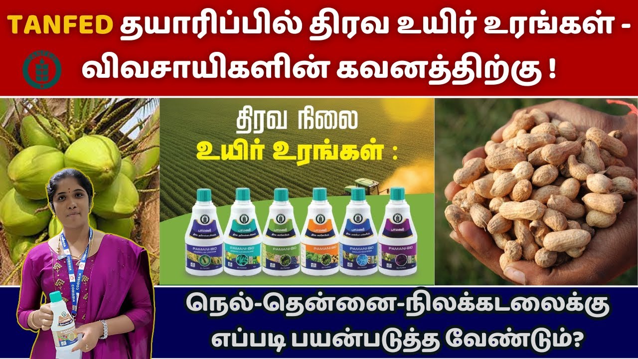 TANFED Liquid phase bio fertilizers- விவசாயிகளுக்கு எப்படி யூஸ் ஆகும் ...