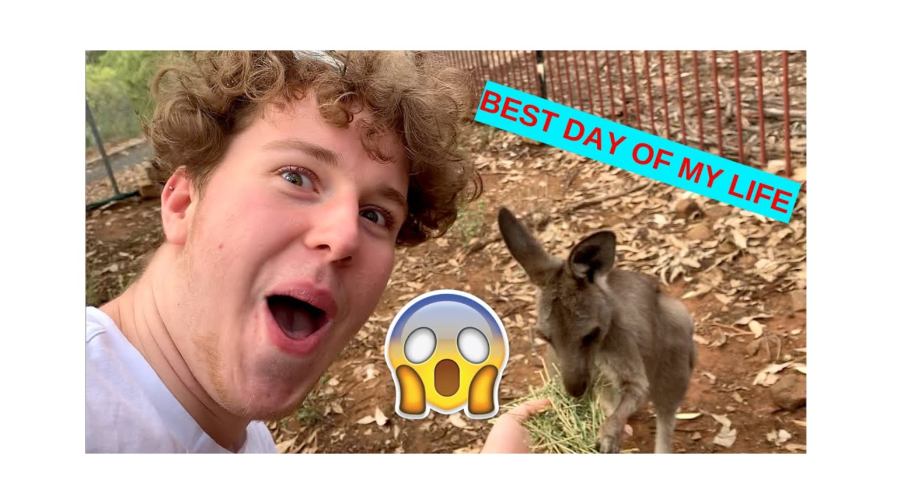 SAW MY FIRST KANGAROO 😱Australia Vlog #1 - YouTube