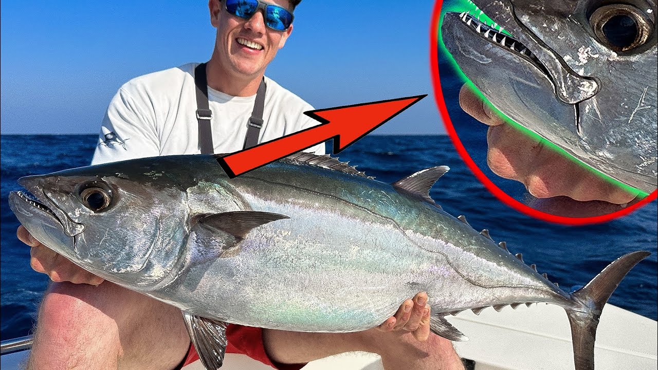 IK VANG DE STERKSTE VIS VAN EGYPTE!! (check die tanden) - YouTube