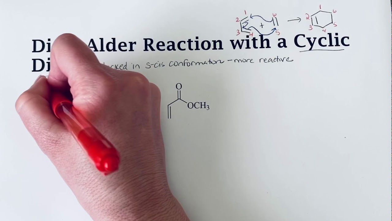 The Diels-Alder Reaction with a Cyclic Diene - YouTube